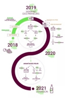 Guide du vin - qu'est ce qu'un vin primeur