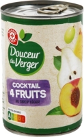 Cocktail de fruits au sirop léger - 250 g - DOUCEUR DU VERGER au ...