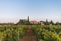 Domaine de Cigalus | Gérard Bertrand | Ma Cave | E. LECLERC