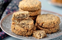 Graines de tournesol